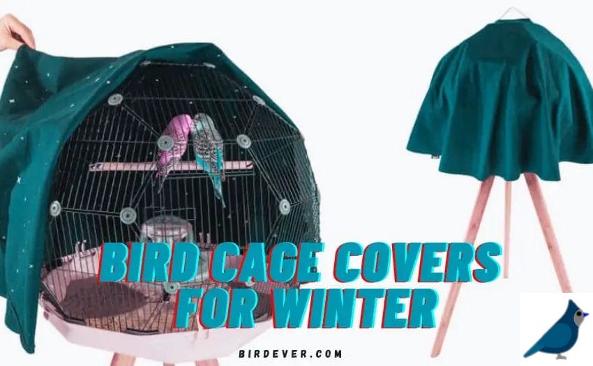 Bird Cage Covers for Winter: Protect Your Feathered Friends