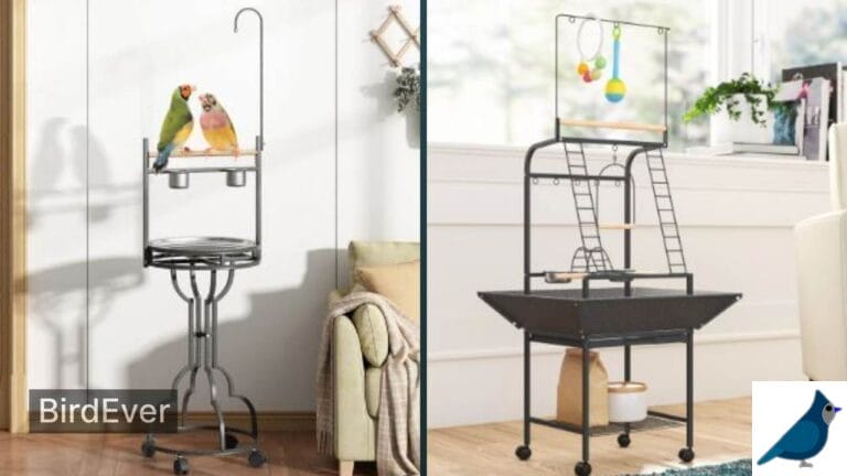 Bird Play Stand on Wheels: Unlocking the Fun