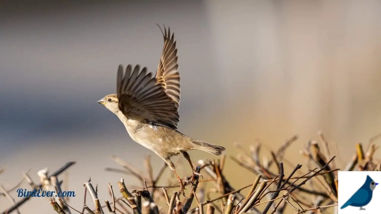 Why Is My Bird Jumping Around?