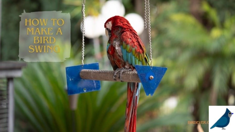how to make a bird swing